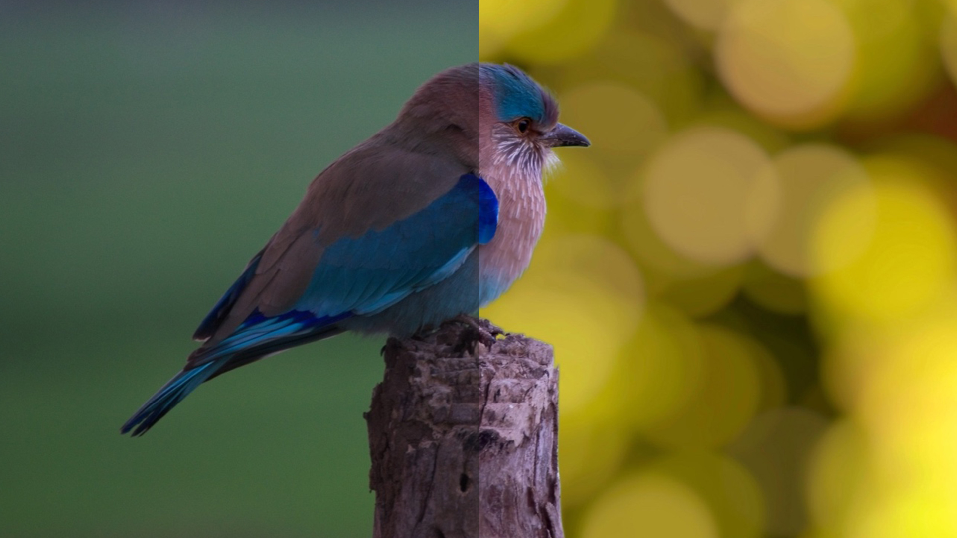 Easily Replace Backgrounds in Photos with ON1 by Dan Harlacher - Planet ...